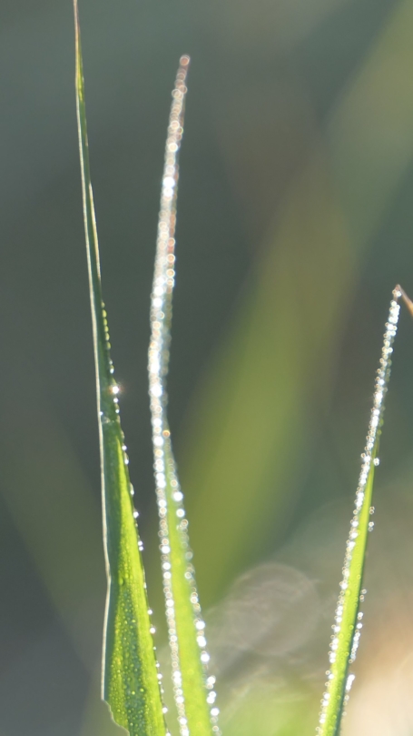 Über mich - Geistiges Heilen Kiel - Birgit Hamer