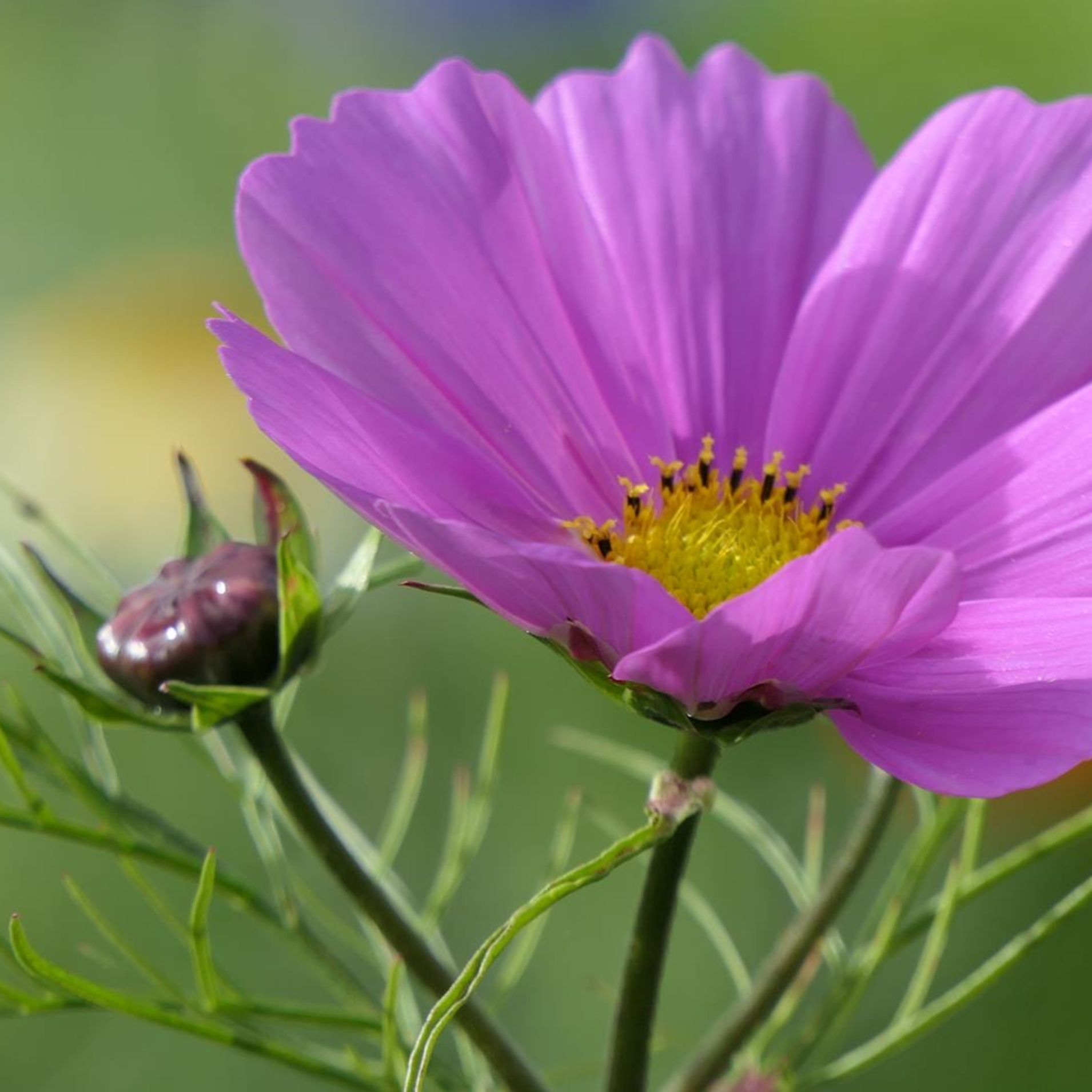 Bildergalerie - Geistiges Heilen Kiel - Birgit Hamer